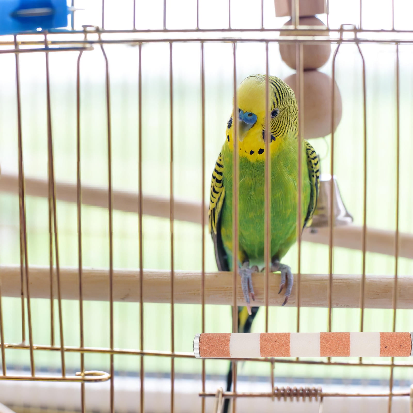 TABLZONE 4Pcs Bird Cage Standing Parrot Perch Chewing Rod for Claw and ...