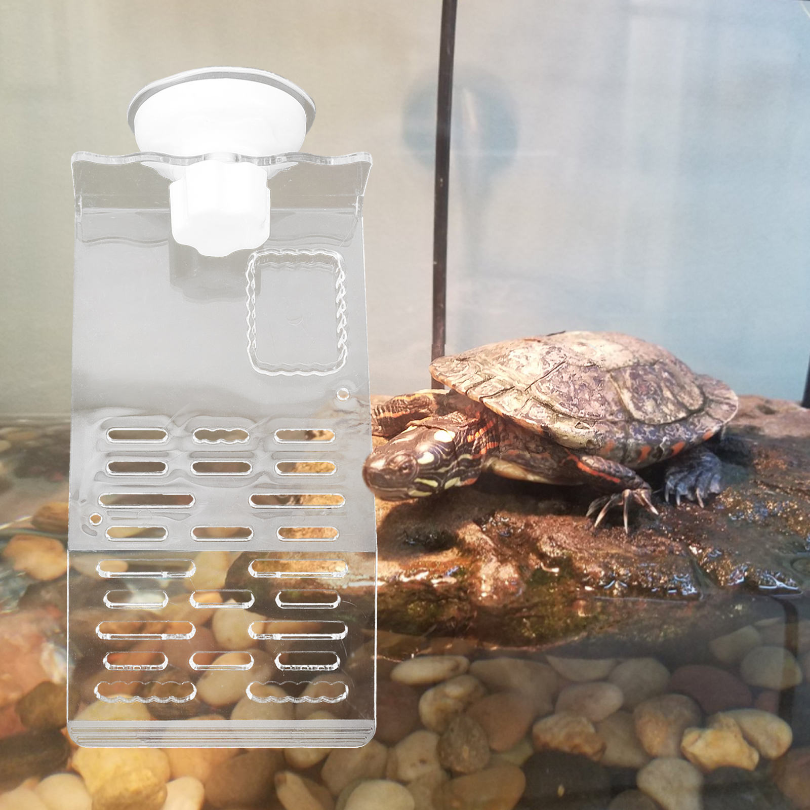 TABLZONE Plastic Floating Basking Platform for Terrarium with Suction ...