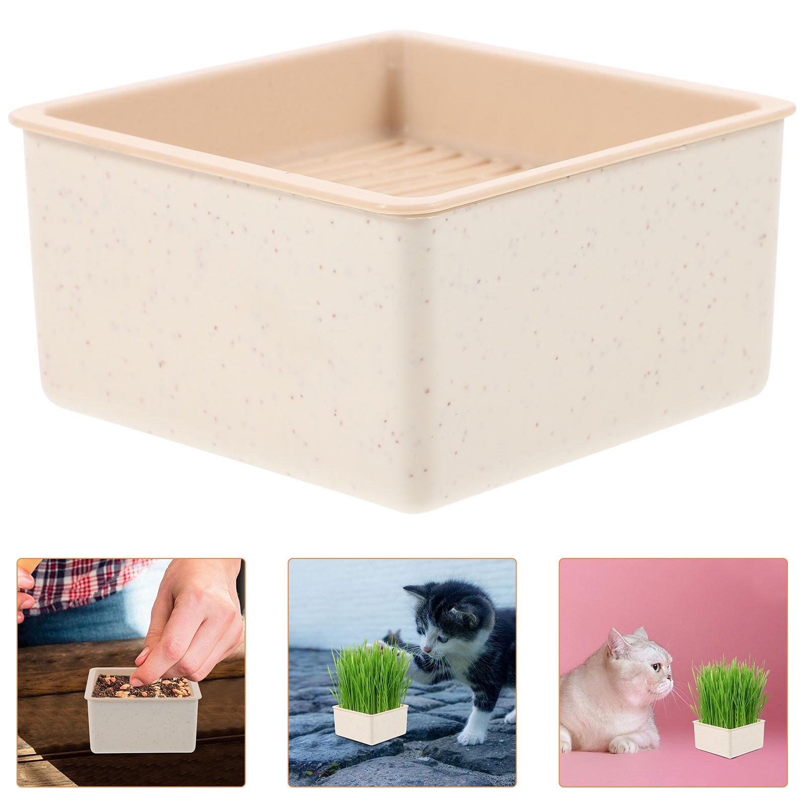 TABLZONE Cat Grass Planter Box Plastic Planting Container for Growing ...