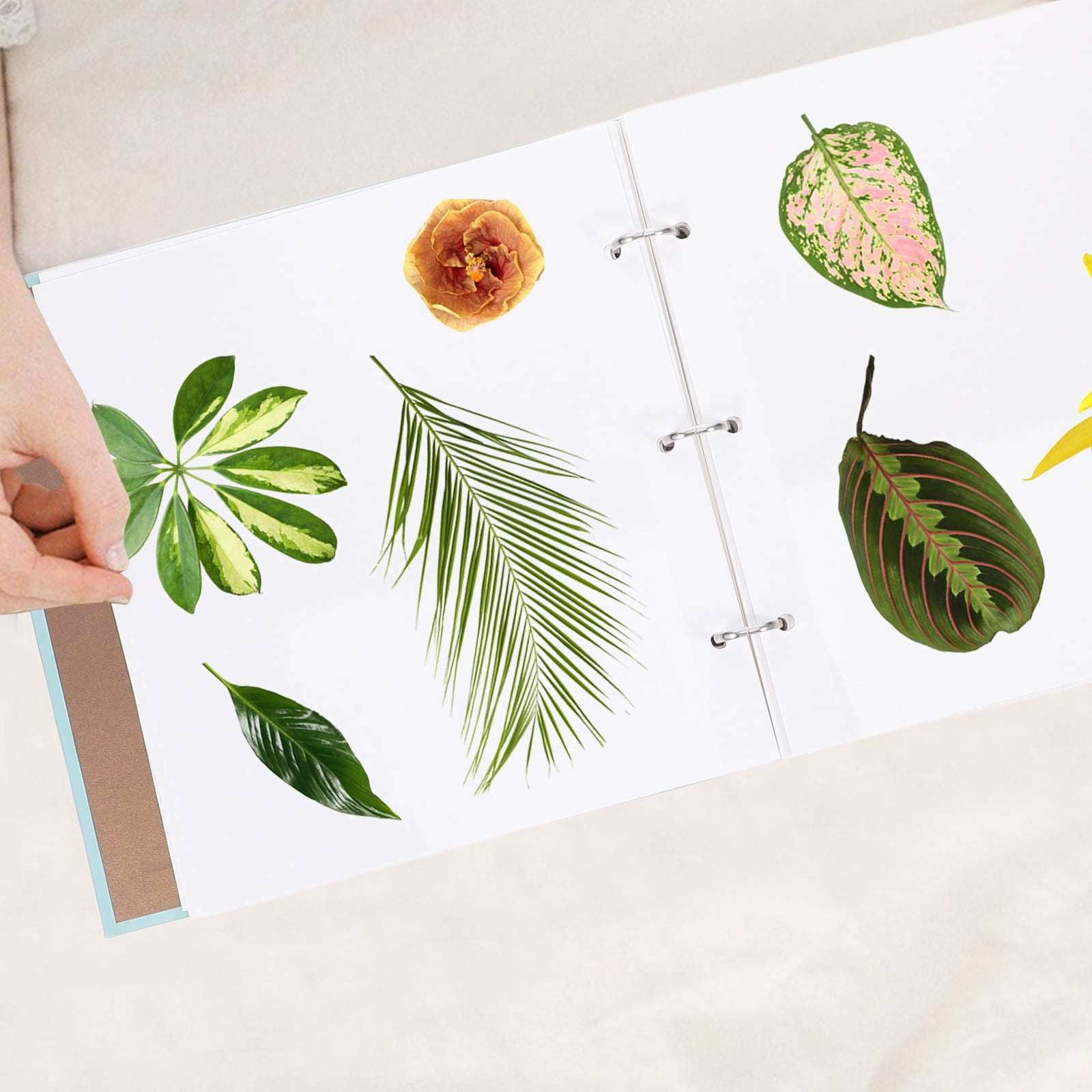 TABLZONE Light Green Botanical Scrapbook Album with Fade Resistant ...