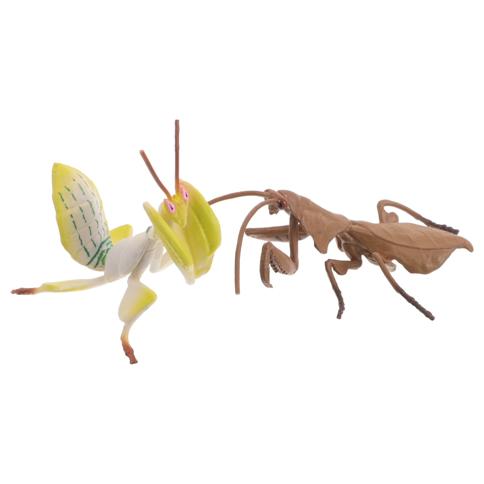 TABLZONE Pair Mantis Nature Exploration Toys Plastic for Educational ...
