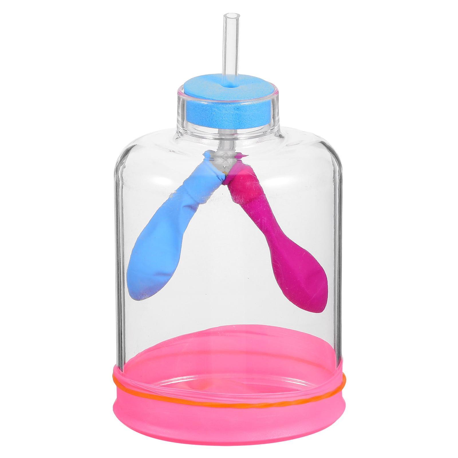 TABLZONE Human Body Organs Awareness Model Lung Dummy Model Plastic 1 ...