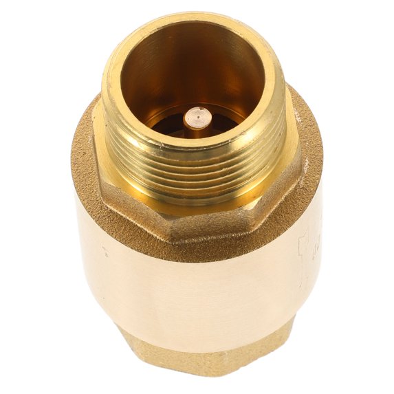 TABLZONE Golden Brass Vertical Check Valve with Thread for Reliable ...