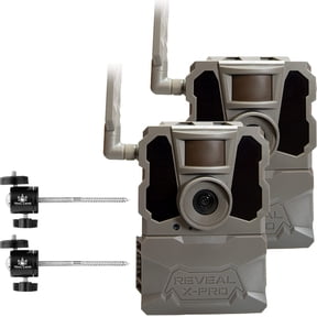 Reveal Camera