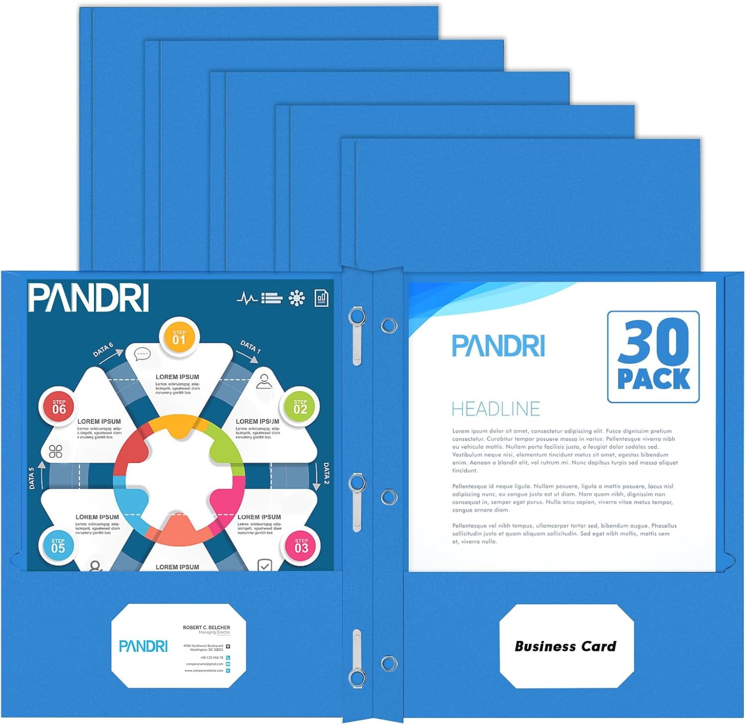 TACYKIBD Two Pocket Folders, PANDRI 30 Pack Two Pocket Folders with ...