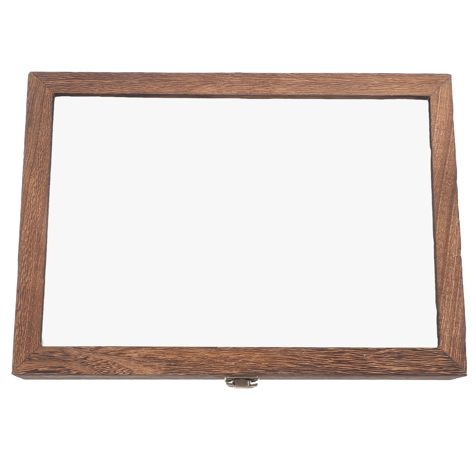 TAILTOSS Specimen Display Box Insect Specimen Display Box Wood 1 Set ...