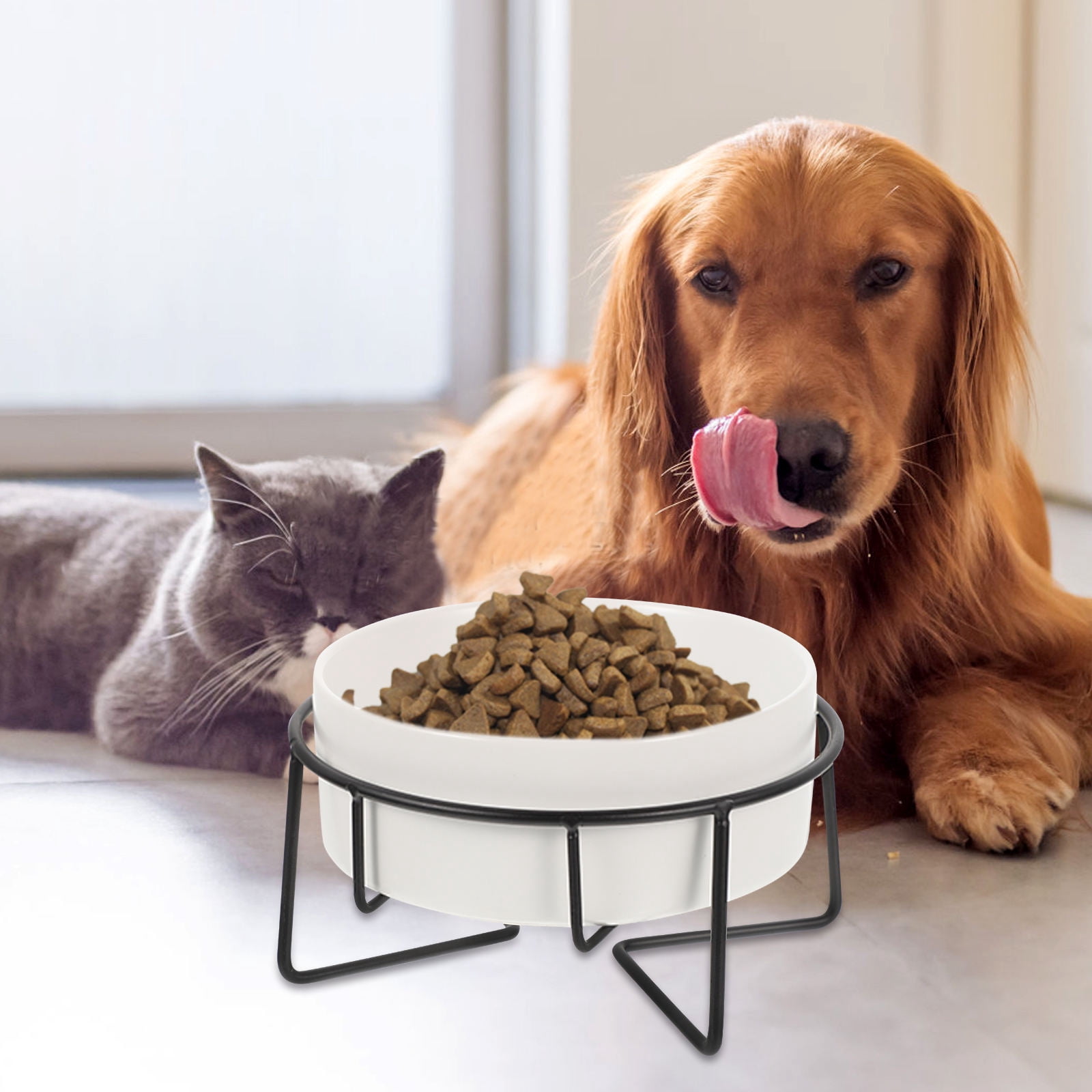 TAILTOSS 1 Set Pet Feeder Neck Protection Bowl Ceramic Elevated Food ...