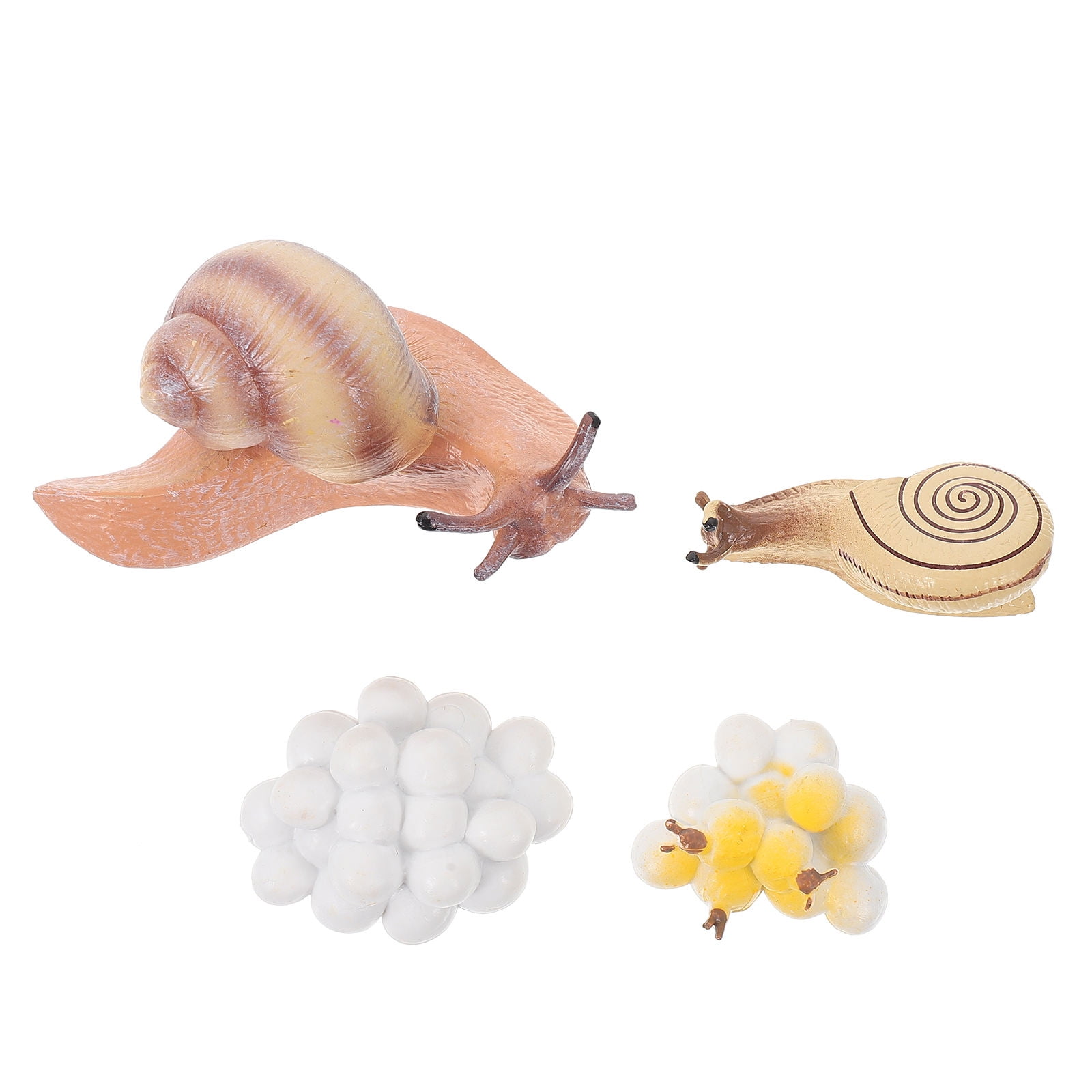 TAILTOSS 1 Set Snails Growth Models Plastic Mini Toys For Kids ...