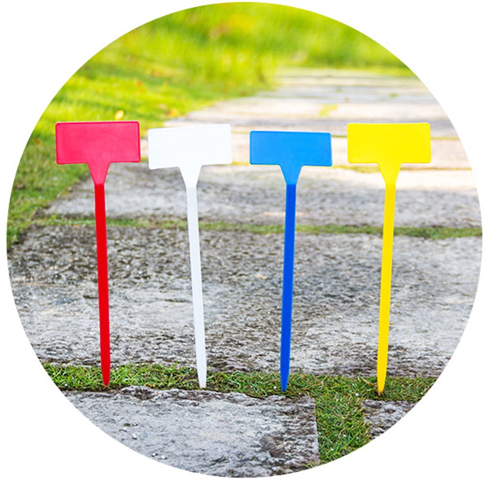 TAILTOSS 10Pcs Blue PP Garden Label Inclined Design for Plant Tags ...
