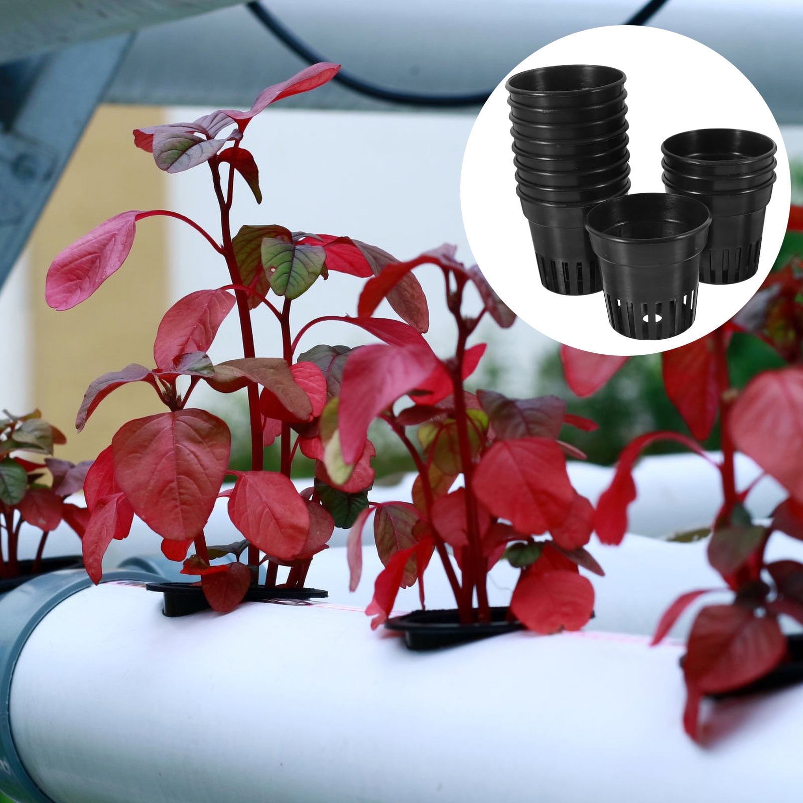 TAILTOSS 12Pack Hydroponic Grow Baskets 7x7x6.8Cm Plastic For Soilless ...