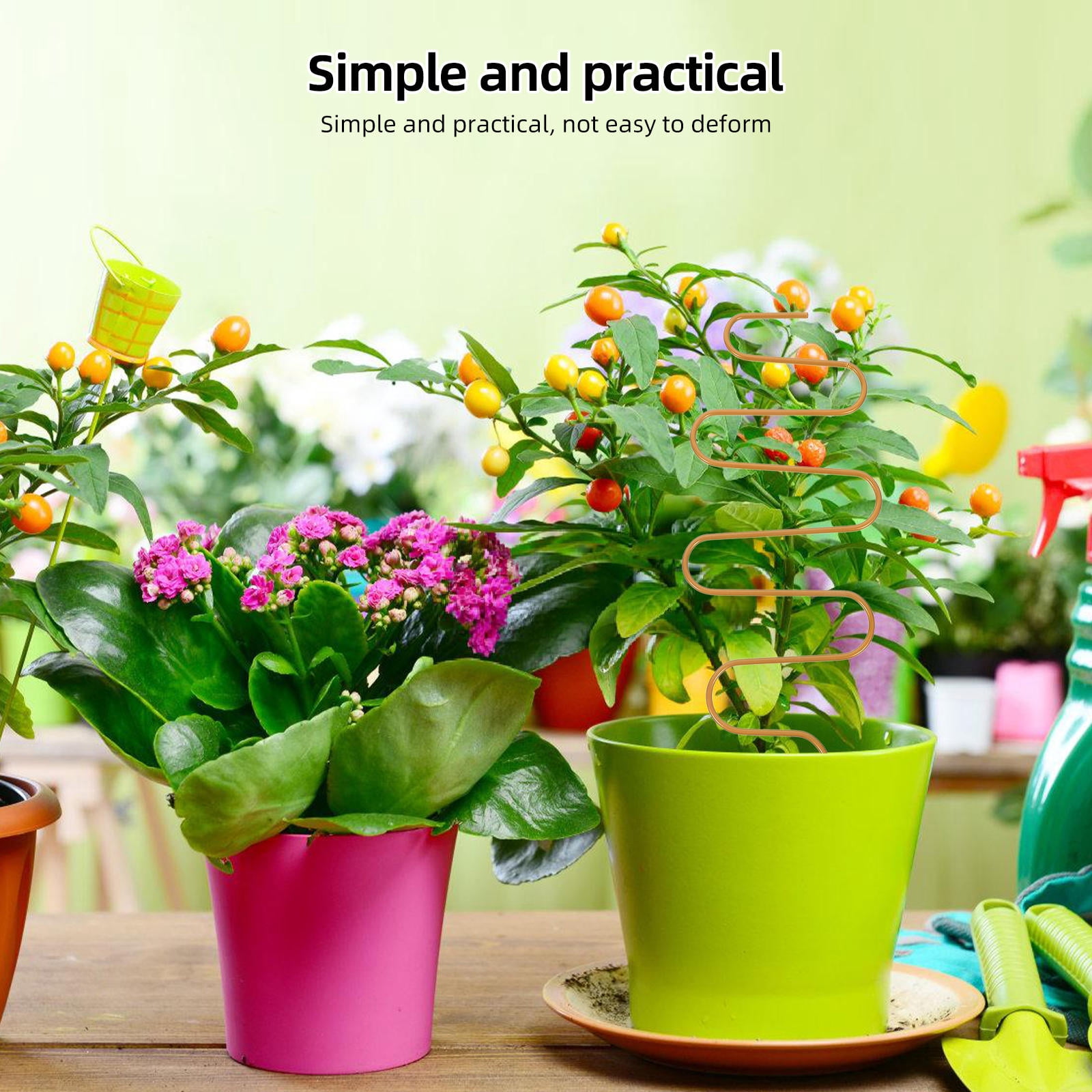 TAILTOSS 1Set Golden Iron Plant Trellis for Indoor Potted Plants with ...