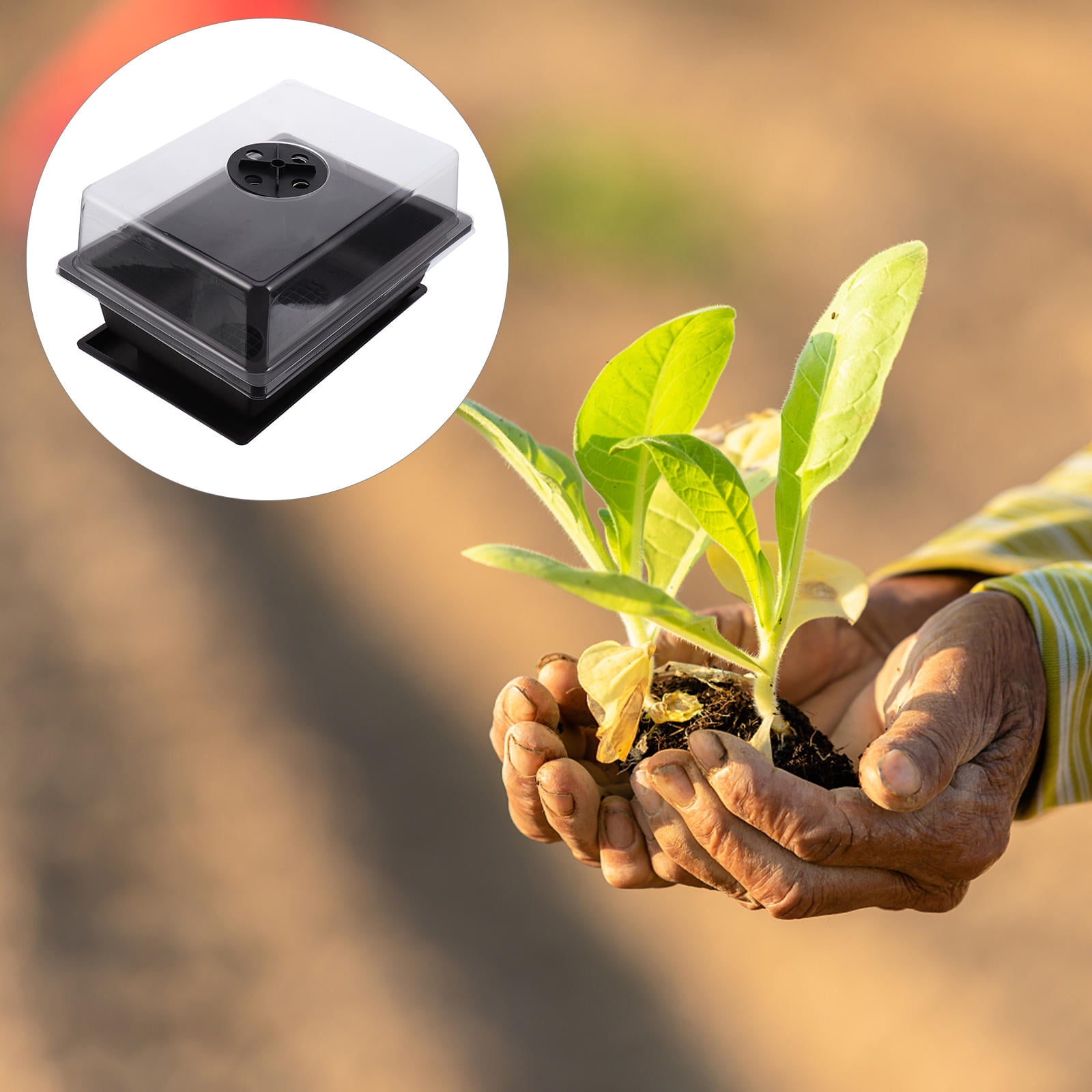 TAILTOSS 2 Sets Vegetable Planting Tray for Centralized Management ...