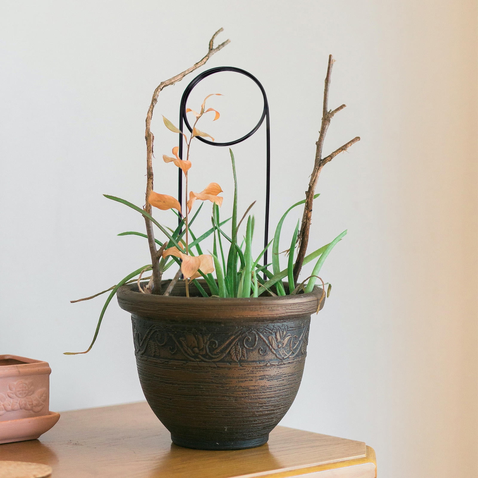 TAILTOSS 3Pack Iron Climbing Frame for Garden Plants with Aesthetic ...