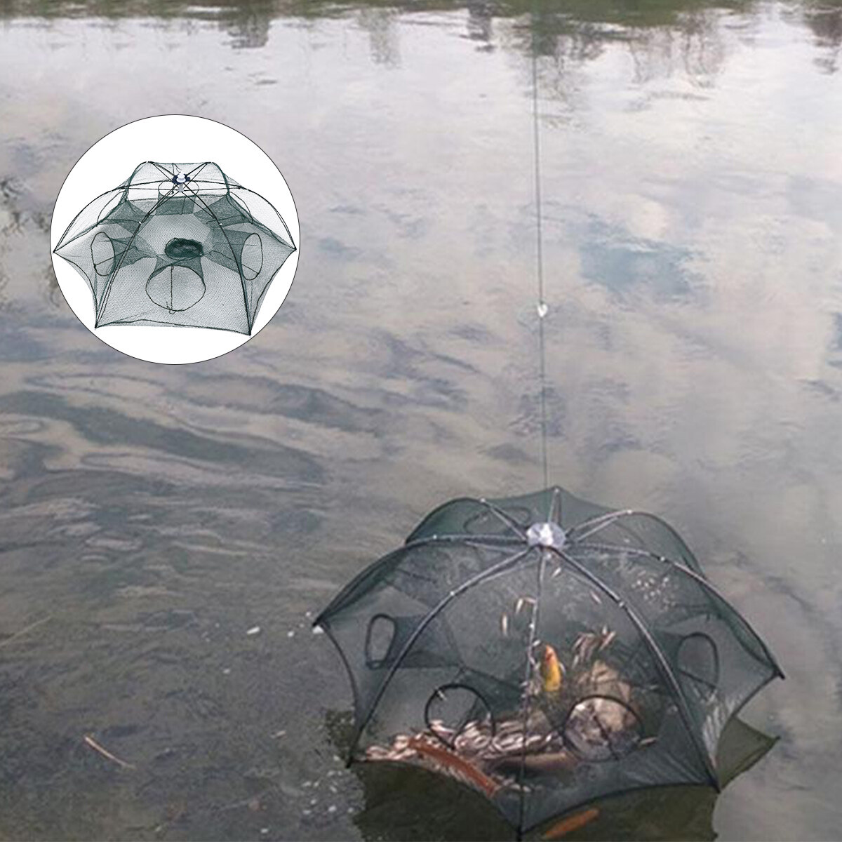 TAILTOSS Automatic Folding Fishing Net Cage Nylon Assorted Color for ...