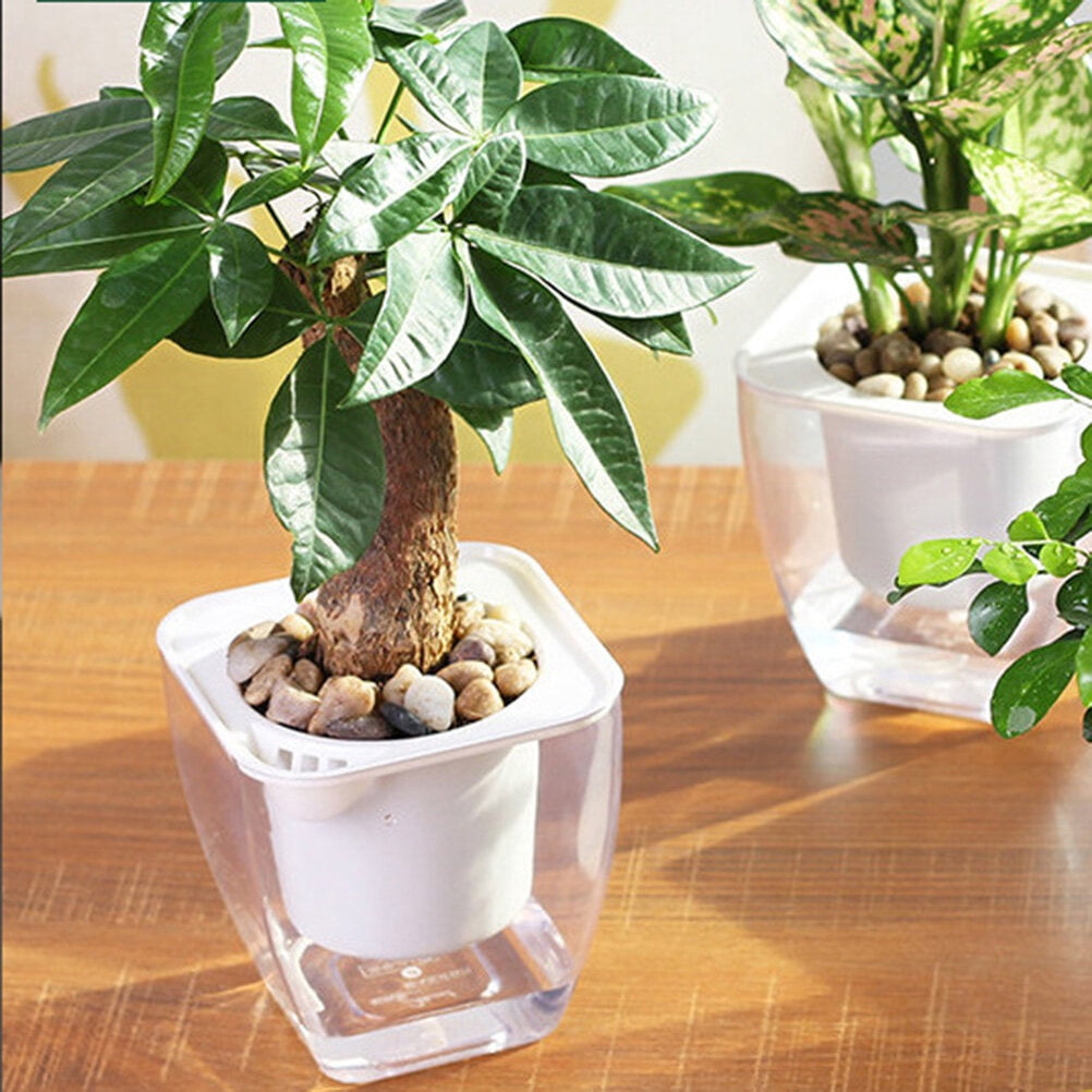 TAILTOSS Self Watering Planter Clear Plastic Square Flower Pot 4.9In ...