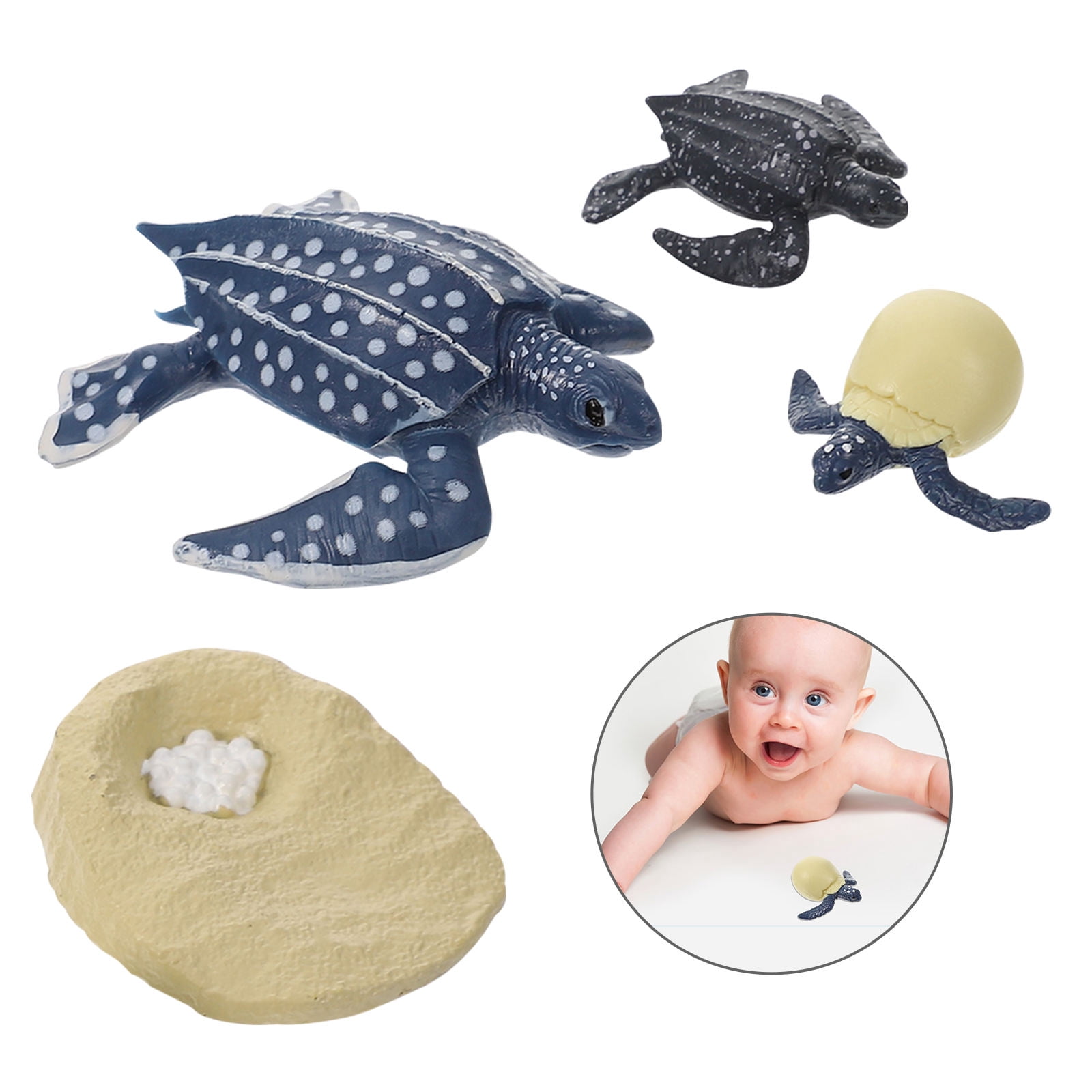 TAILTOSS Turtle Toys Plastic Realistic Design For Parents And Home ...