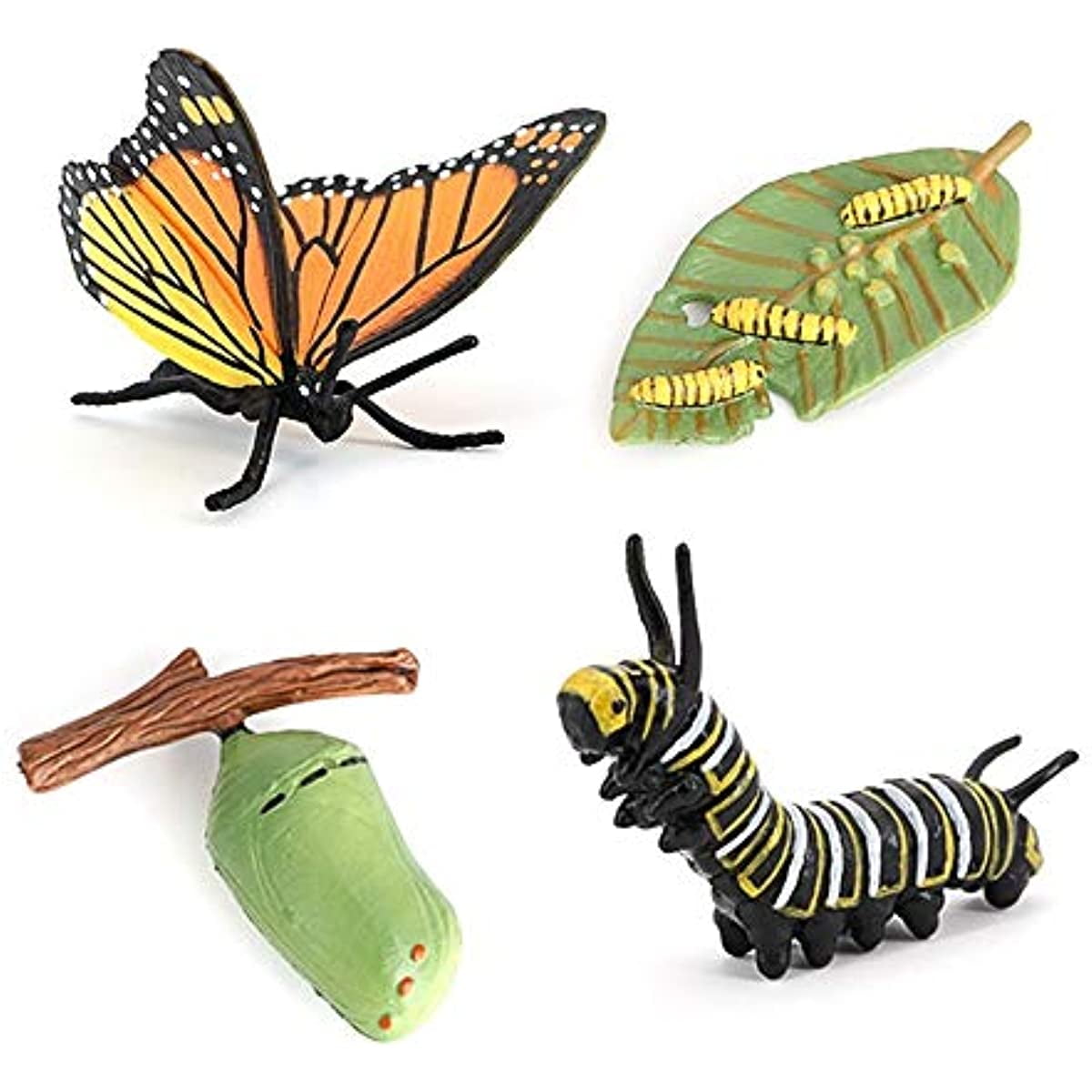 TANG DYNASTY 4PCS Monarch Butterfly Animal Life Cycle,Insect Growth ...