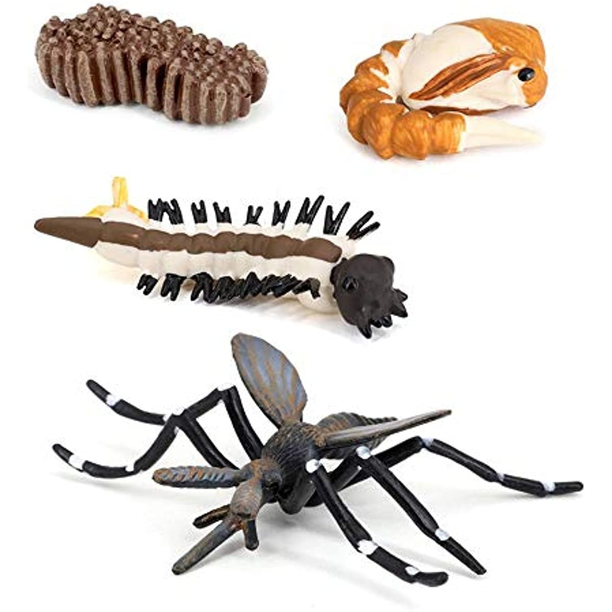 TANG DYNASTY 4PCS Mosquito Animal Life Cycle,Insect Growth Cycle Model ...