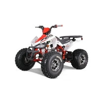 Tao Motor 125 T-FORCE Platinum 120cc Gas Powered Quad Wheeler All ...