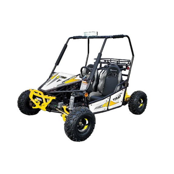 TAO MOTOR Triton 125cc Gas Road Go Kart, Auto With Reverse, Electric ...