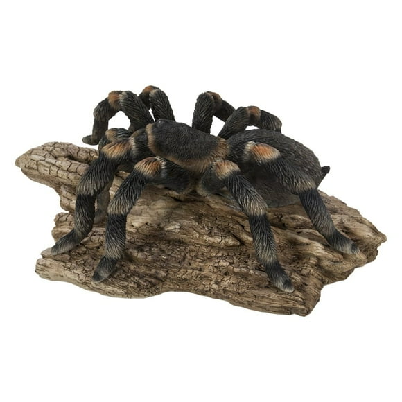 Tarantula Standing Tall