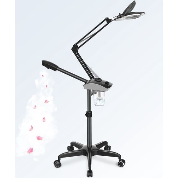 TASALON Professional Facial Steamer with 5X Magnifying Lamp, 2-in-1 ...