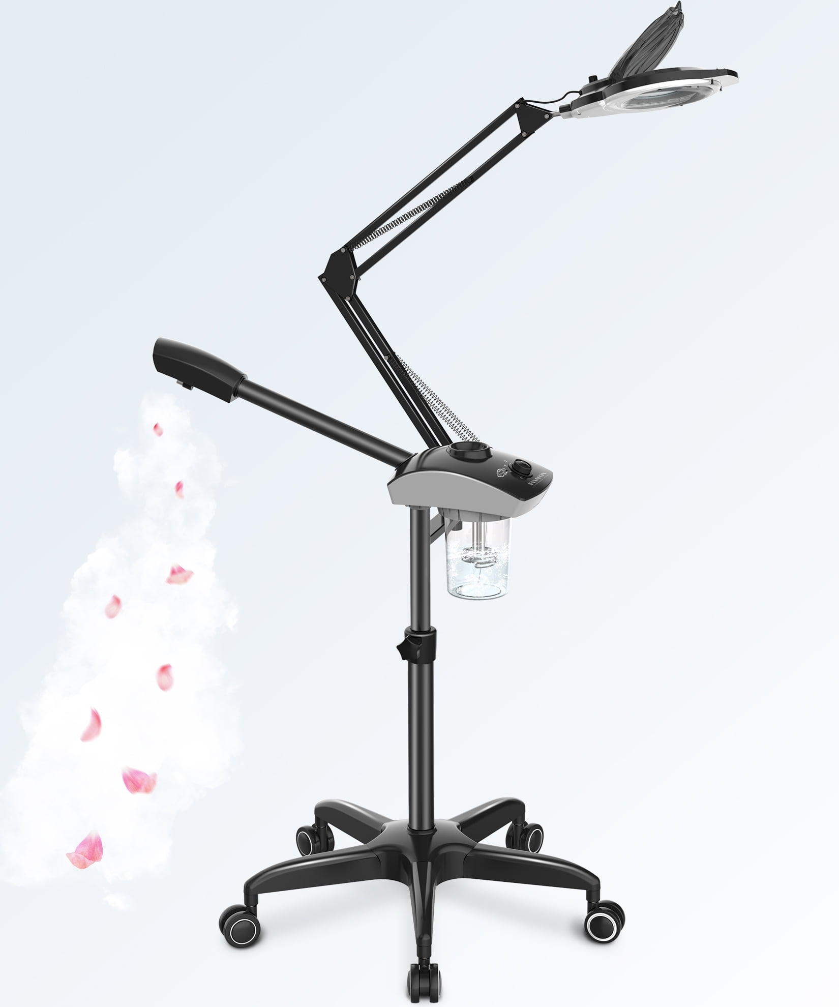 TASALON Professional Facial Steamer with 5X Magnifying Lamp, 2-in-1 ...