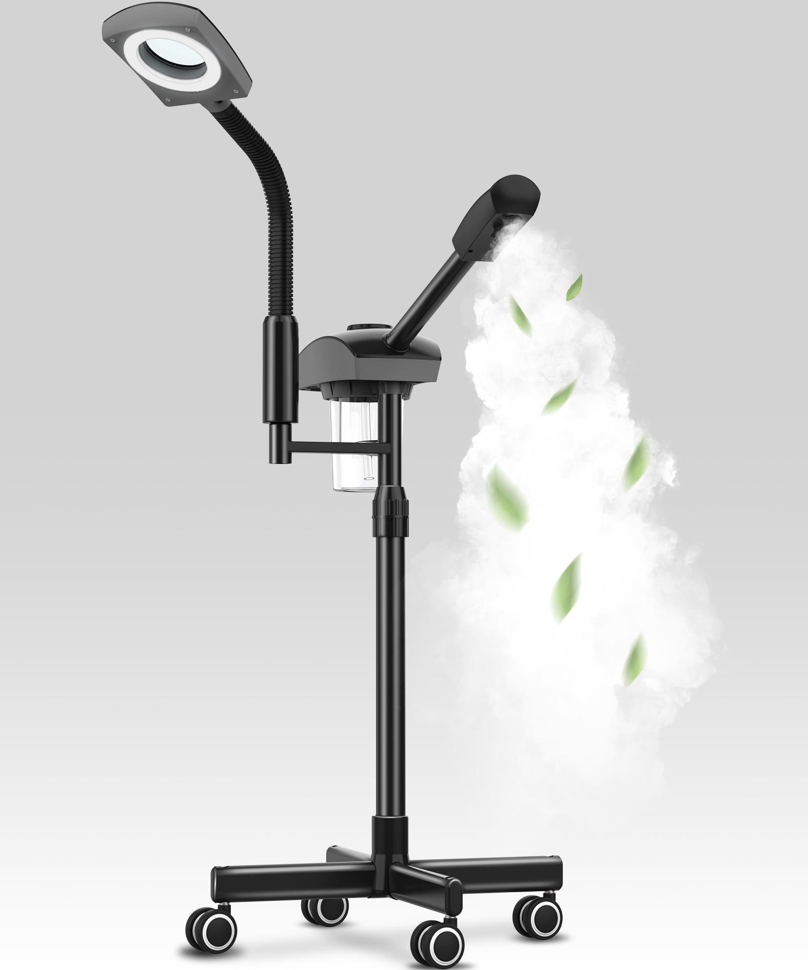 TASALON Professional Ionic Facial Steamer, 2-in-1 Face Steamer for ...