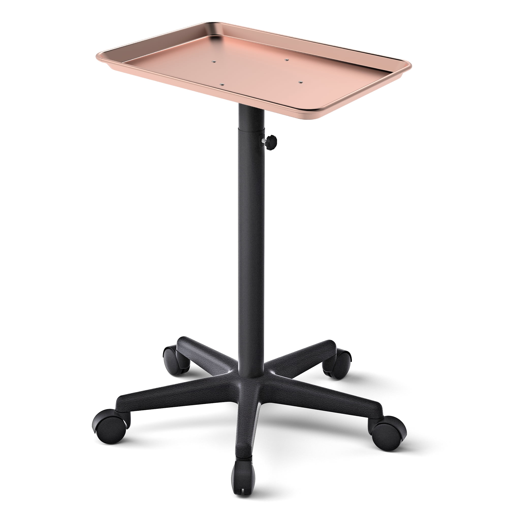 TASALON Salon Tray on Wheels - Aluminum Instrument Tattoo Tray with ...