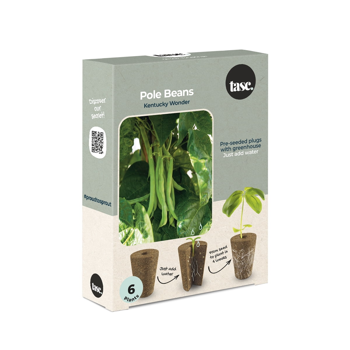 TASC Pre-Seeded Pole Beans Plugs with Greenhouse (Count, 6 Seed Plugs ...