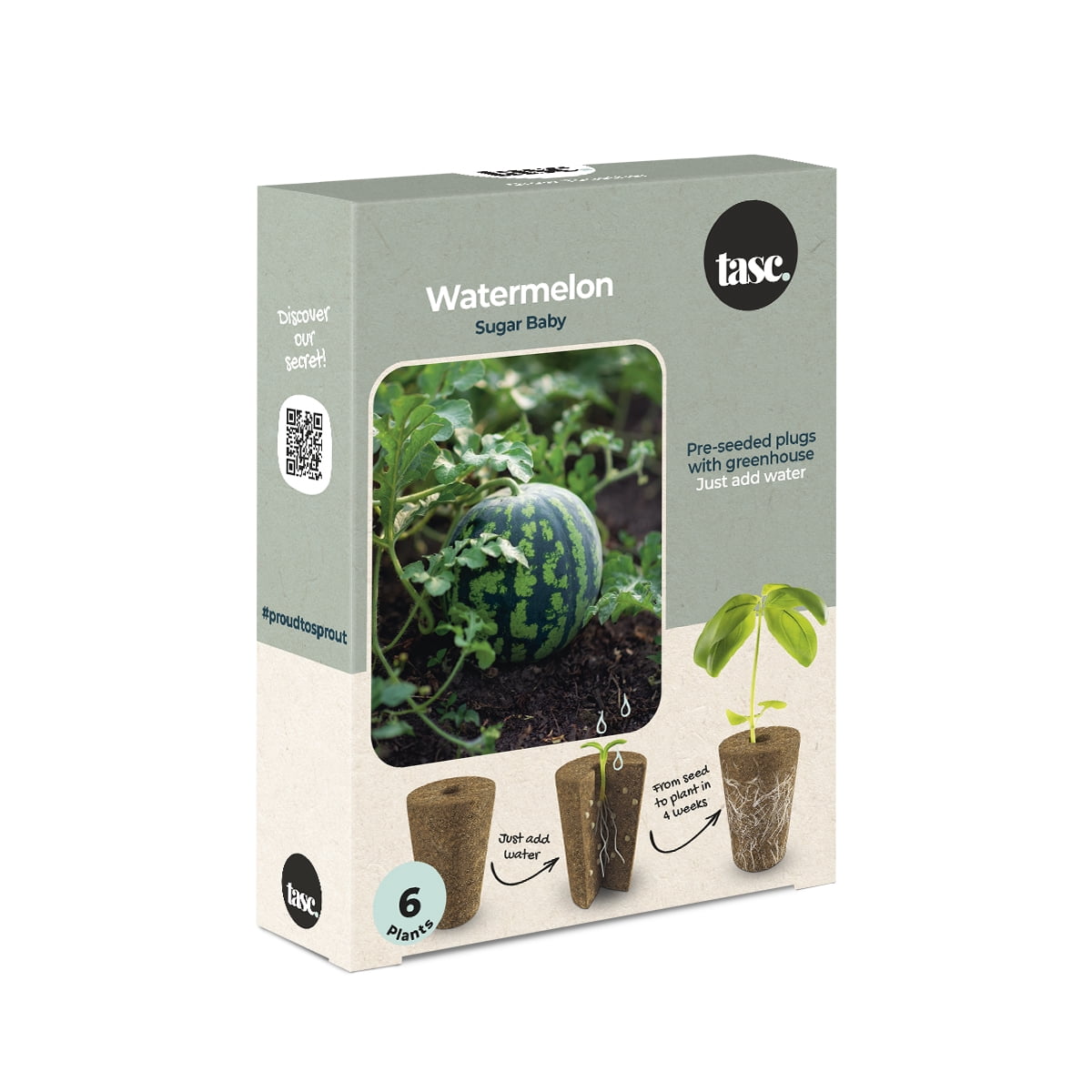 TASC Pre-Seeded Watermelon Plugs with Greenhouse (Count, 6 Seed Plugs ...