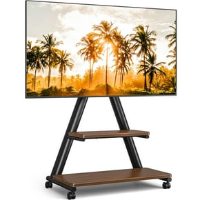 Portable Tv Stands