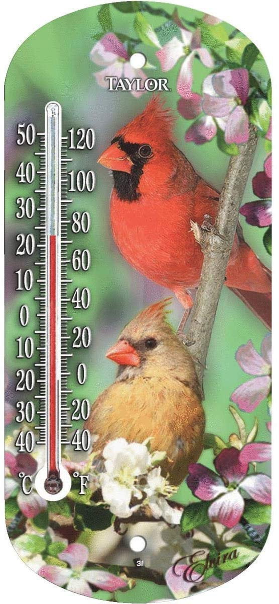 TAYLOR USA Cardinal Window Weather Thermometer, Durable Housing with UV ...