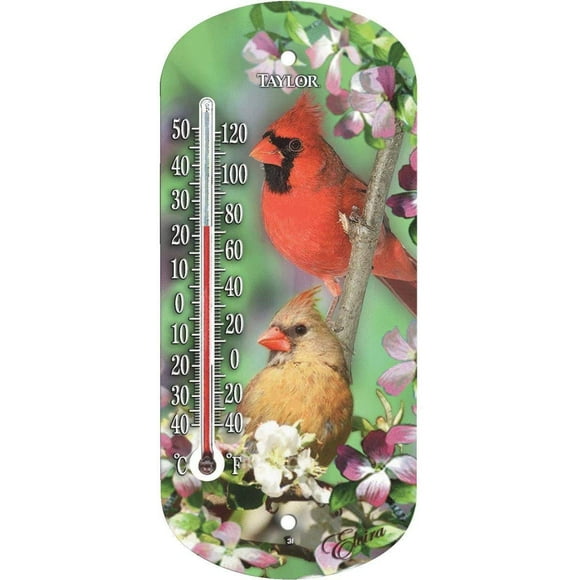 Outdoor Window Thermometer