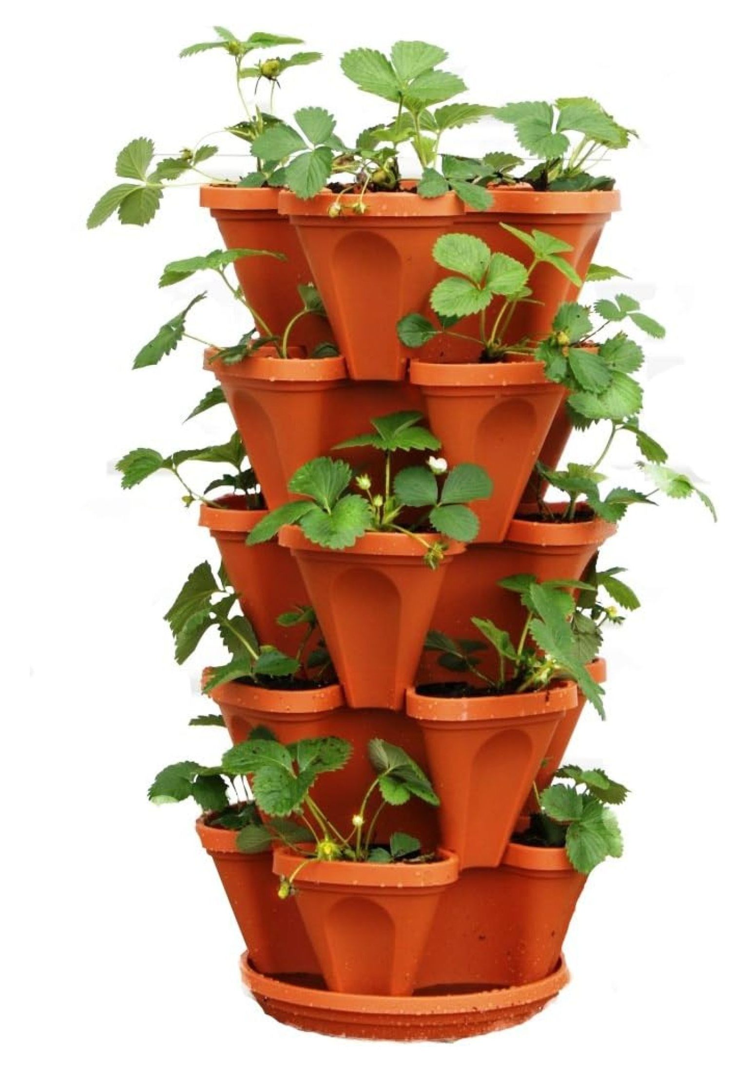 TC-1 Planter, Terra Cotta - Walmart.com