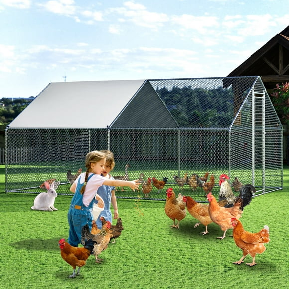 Large Chicken Coops in Chicken Coops - Walmart.com