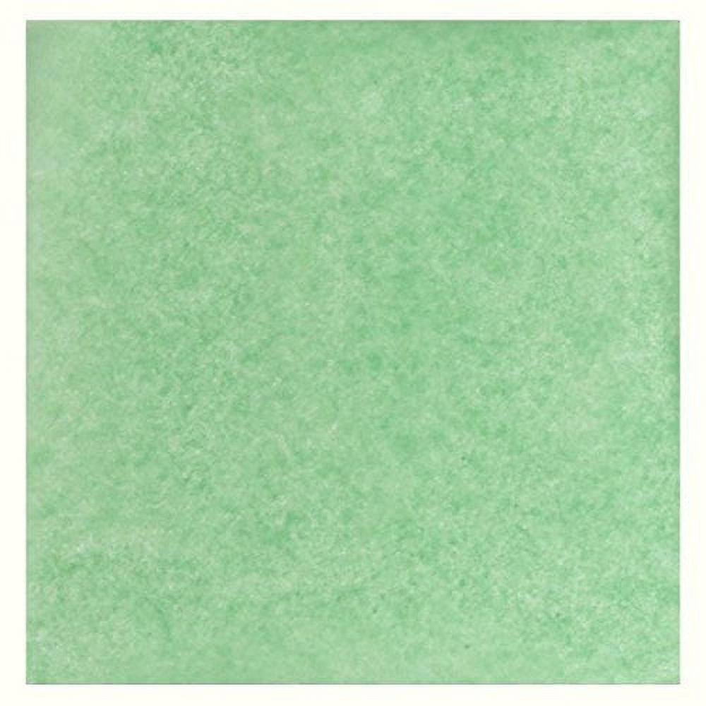 TCDesignerProducts Light Green Tissue TSF6 Parade Float Pomps Pack of ...