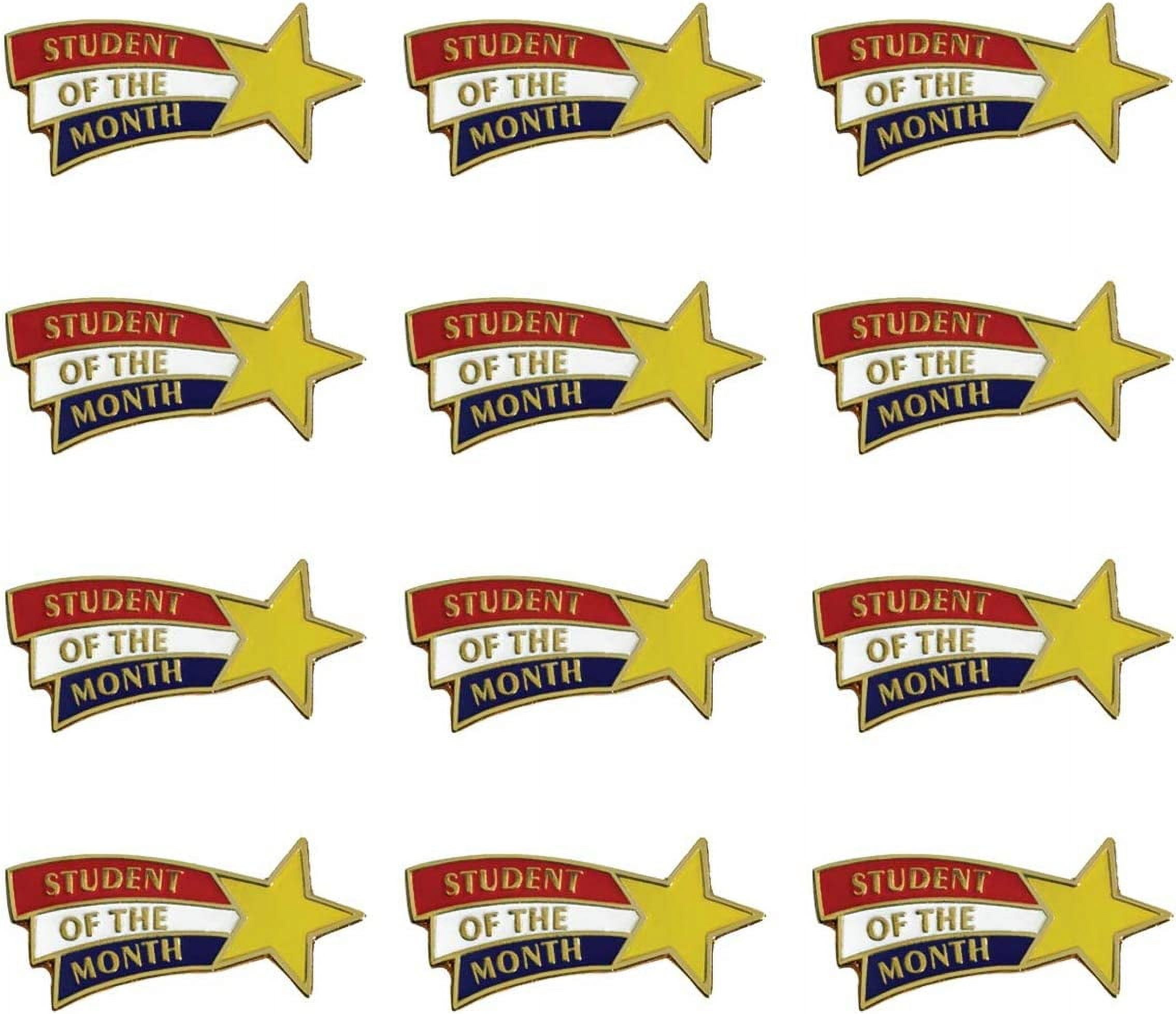 TCDesignerProducts Student of The Month Shooting Star Award Pin ...