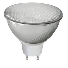 Long Bulb