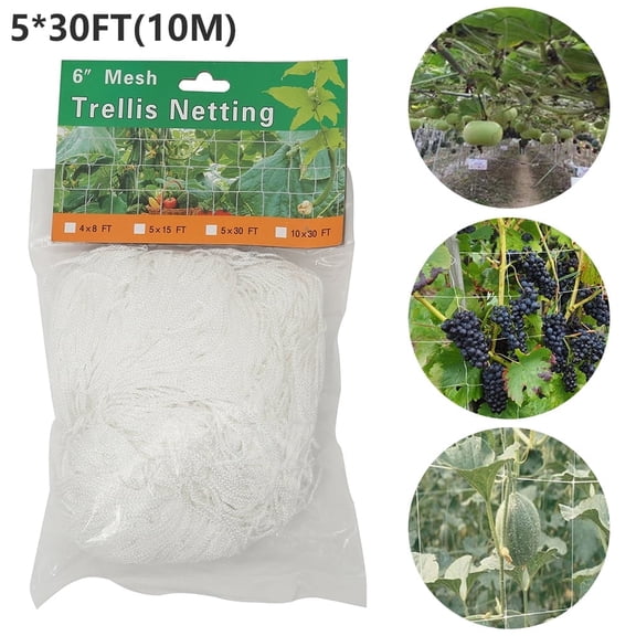 Mesh Netting
