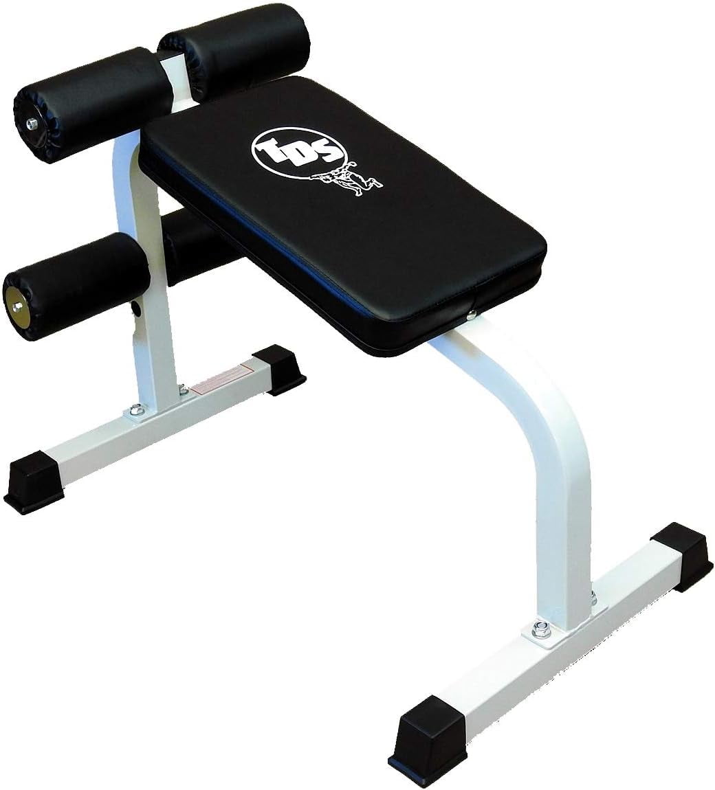 TDS Econo Roman Chair Weight Bench/Abdominal Bench 500 lb Capacity ...