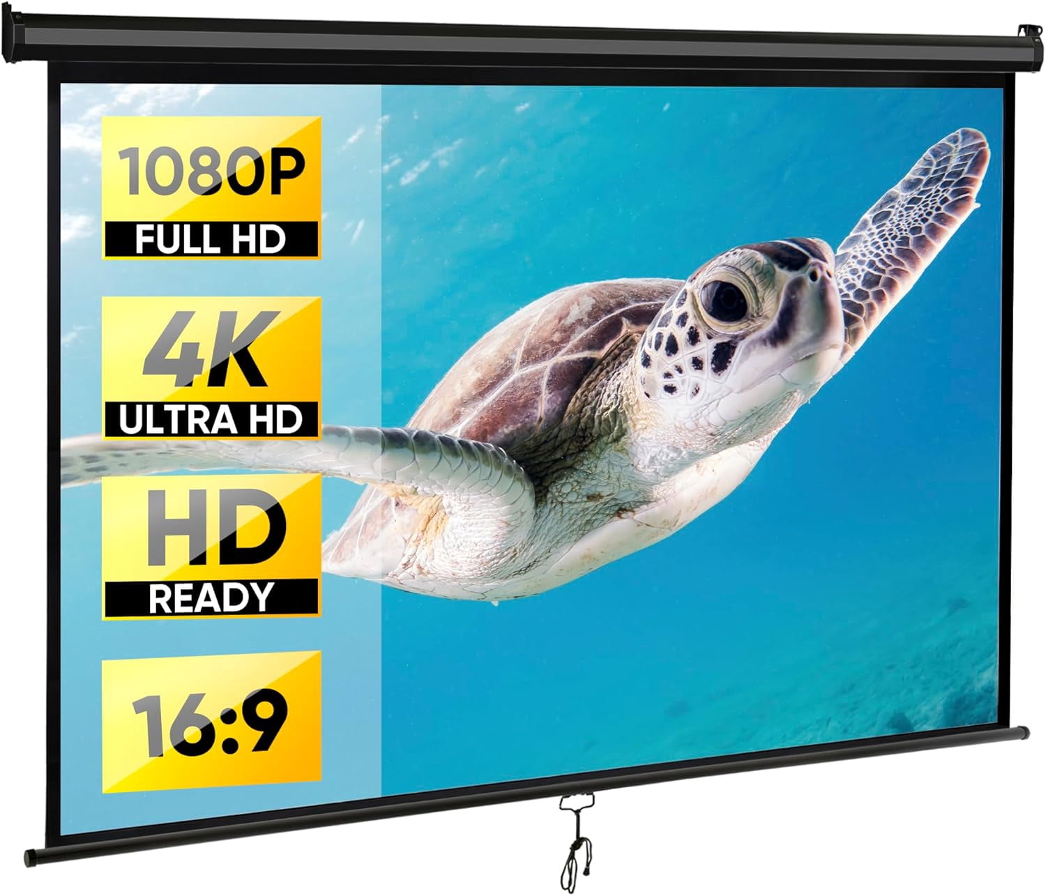 TDUKDB 80 Inch 16:9 HD Projection Screen Manual Pull Down Indoor ...