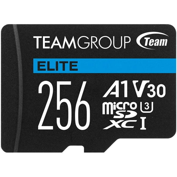 256 GB Memory Cards