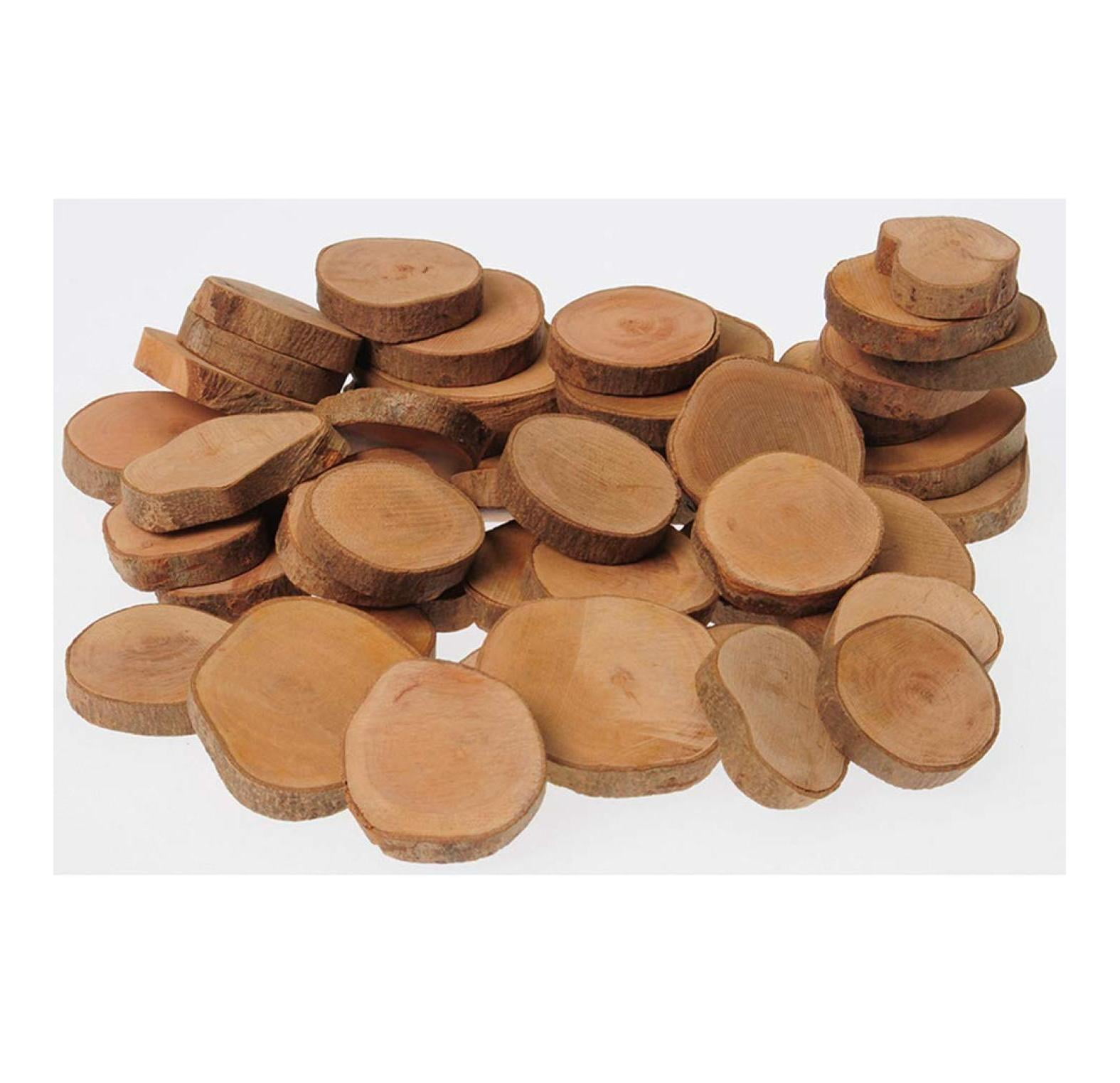 TEB-12 45 Piece 1" - 1.875" diam. Tree Rings Set for Kids Science ...