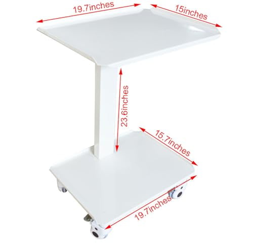 TECHTONGDA Beauty Trolley Medical Rolling Cart with Wheels, 2-Layer ...