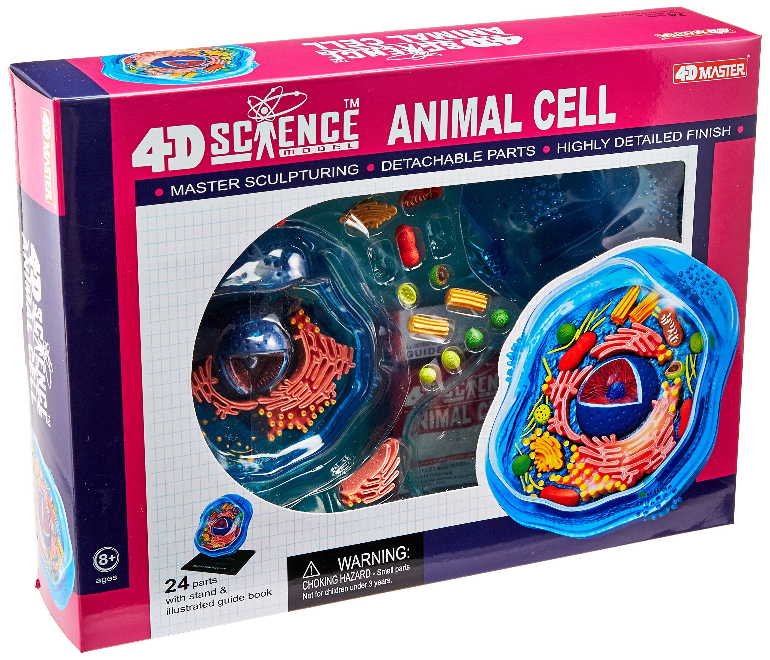 TEDCO 4D Science Animal Cell Anatomy Model, Educational Focus, 26700 ...