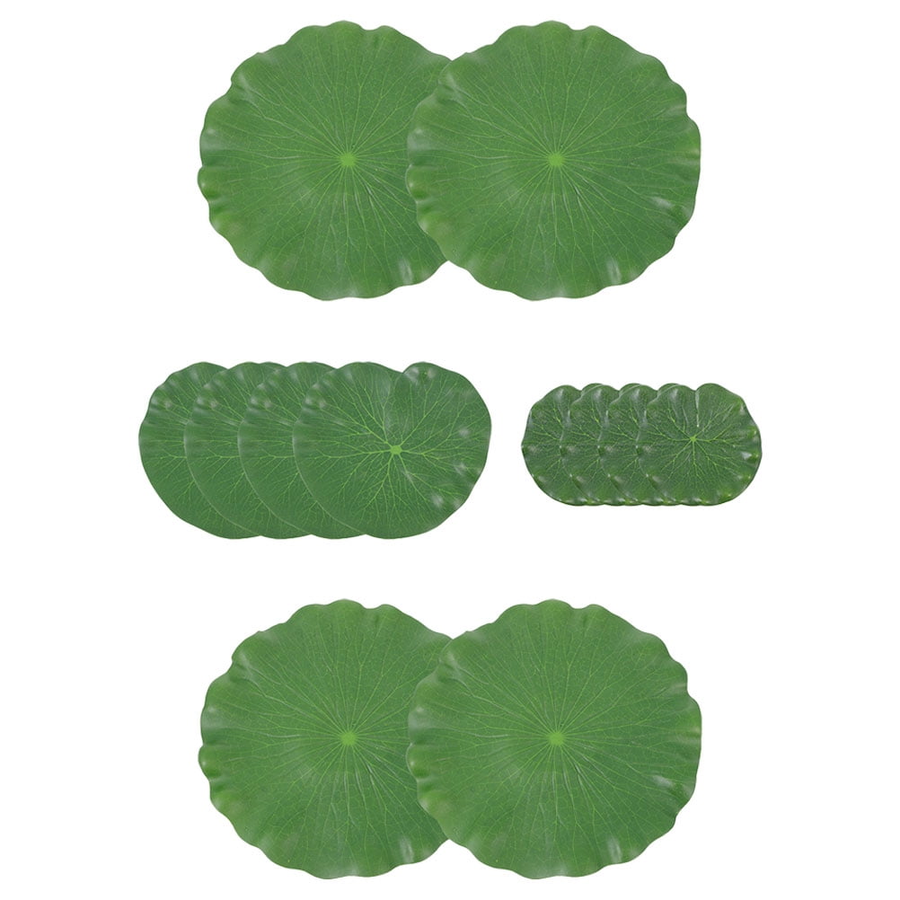 TEHAUX 12Pack Floating Pond Plants for Aquarium Enthusiasts Natural ...