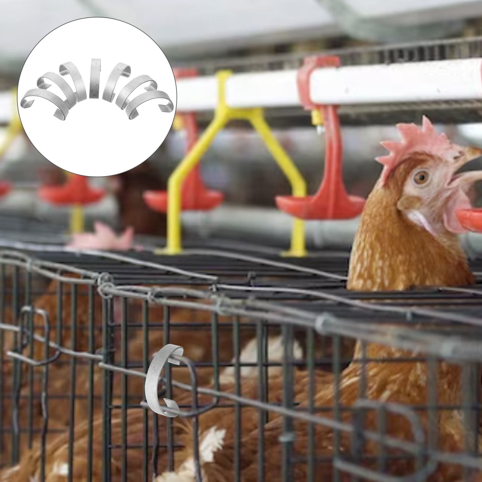TEHAUX 20 Pcs Catcher Rabbit Cage Poultry Cage 5.00X3.00X3.00CM Silver ...