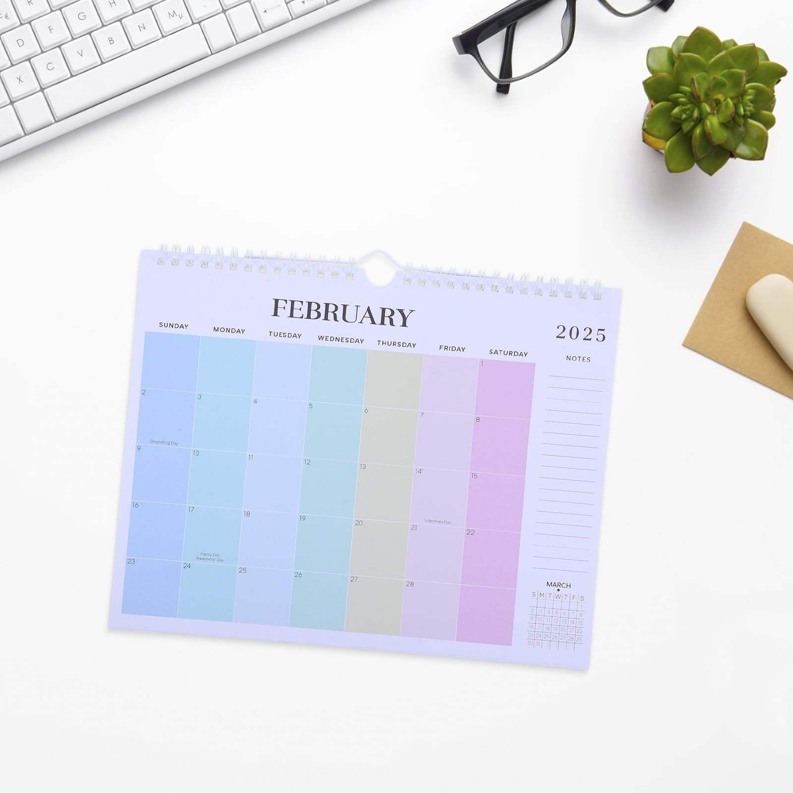 TEHAUX Month Calendar Wall Calendar 2025 Paper Multi 1Pack Simple and ...