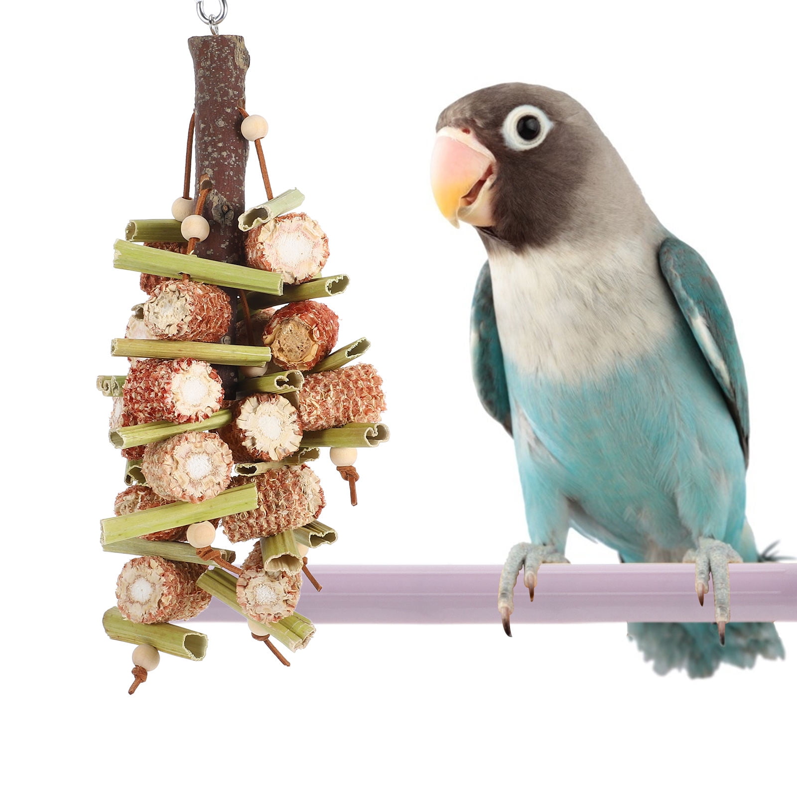 TEHAUX 20Pcs Macaron Color Plastic Bird Cage Perches for Parakeets ...